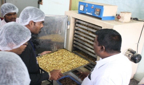 D Y Patil | Processing & Food Engineering